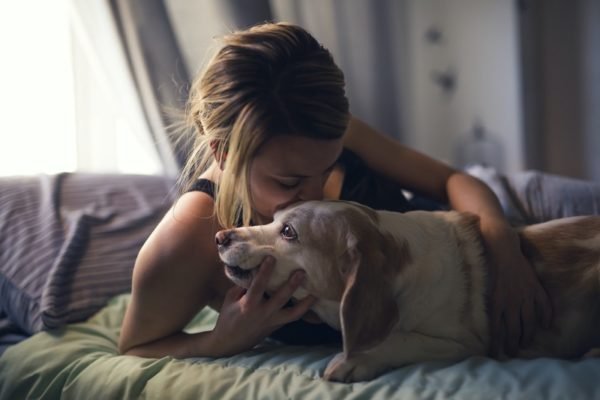 How You Can Help Your Dog Live Longer - Monkoodog