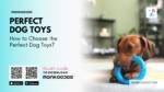 how to choose perfect dog toys