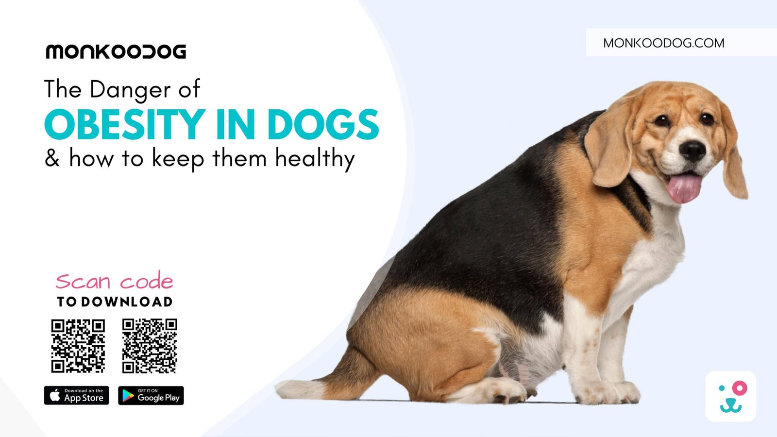 obesity in dogs
