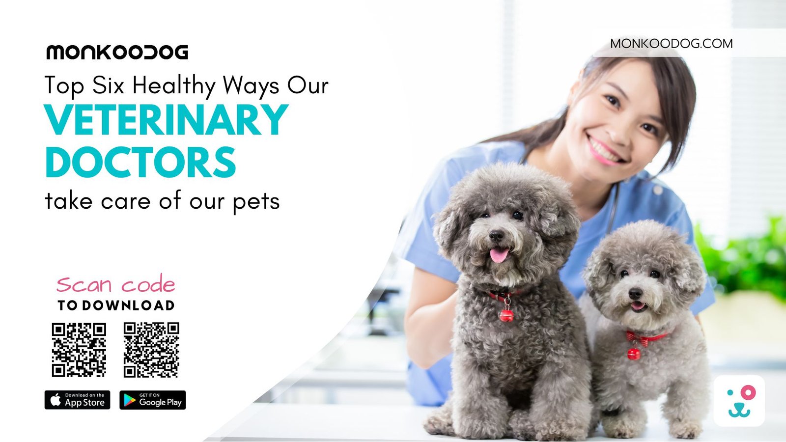 Top Six Healthy Ways Our Veterinary Doctors Take Care Of Our Pets ...