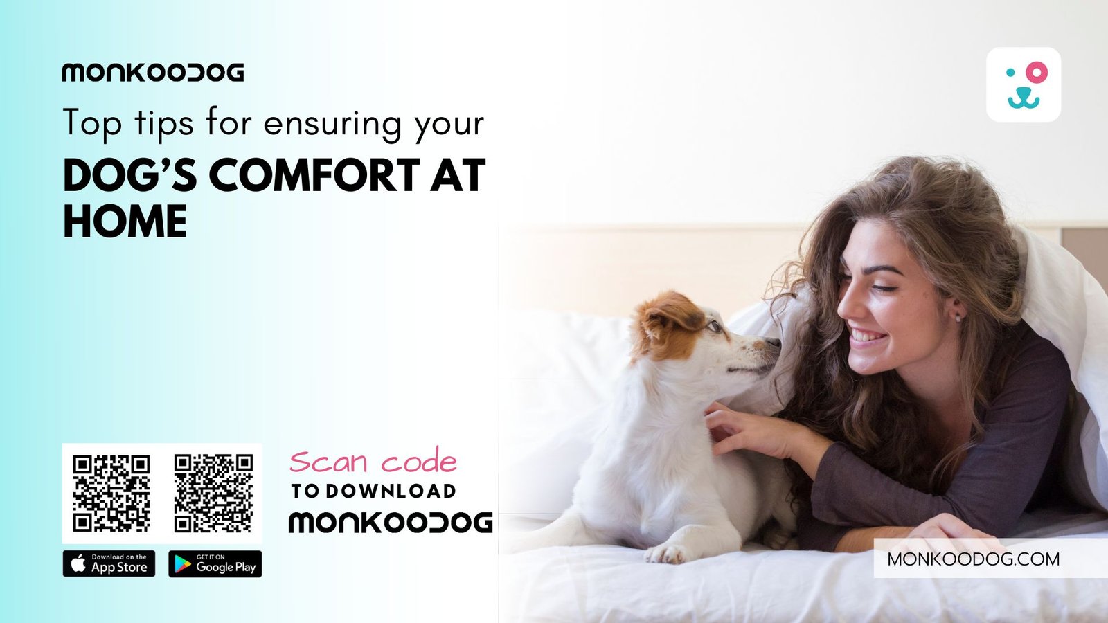 ensuring-your-dog's-comfort-at-home