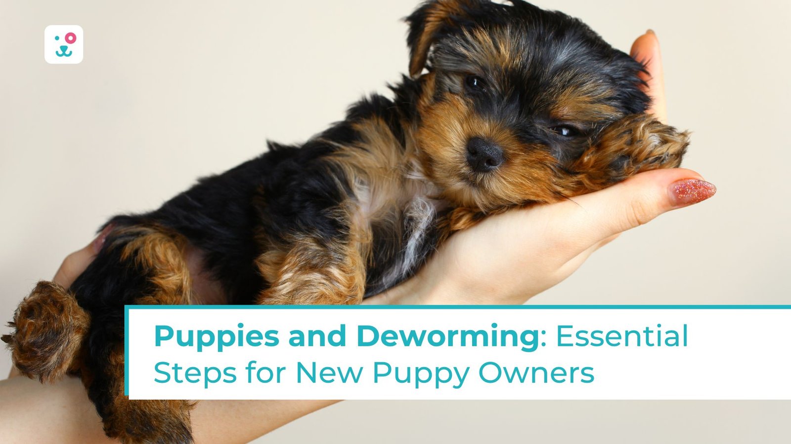 Puppies and Deworming: Essential Steps for New Puppy Owners