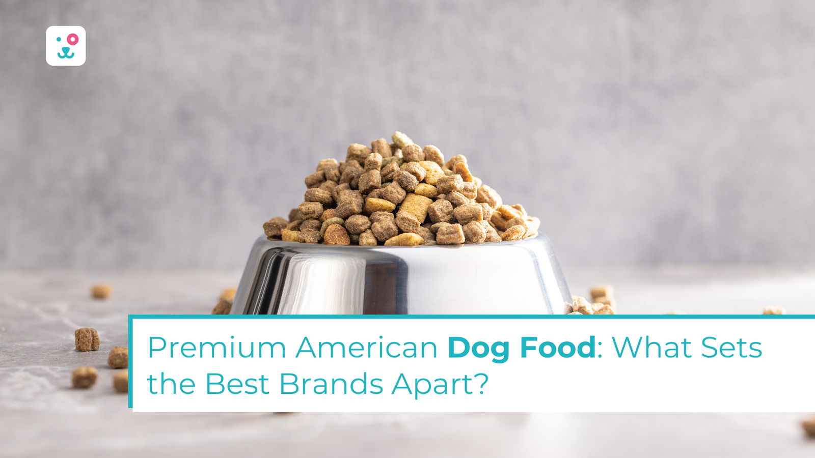 Premium American Dog Food: What Sets the Best Brands Apart?